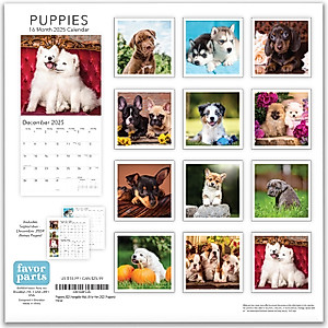 Puppies 2023 Hangable Wall Calendar - 12" x 24" Open - Cute Funny Dog Photo Gift - Sturdy Thick Puppy Dogs Photography - Large Full Page 16 Months for Organizing & Planning - Includes 2022