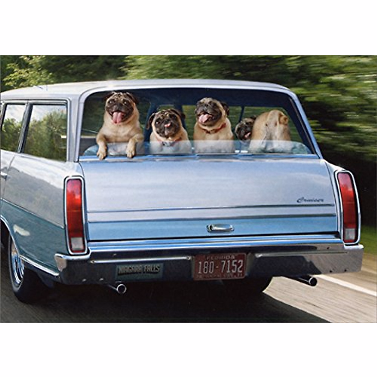 Pug Dogs in Station Wagon Avanti Humorous/Funny Birthday Card