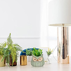 Happyyami Outdoor Decor Pots Ceramic Animal Owl Planter Novelty Flower Pots Small Desk Animal Statue Porcelain Plant Pot Bonsai Container for Home Office Tabletop Decorations Home Decor