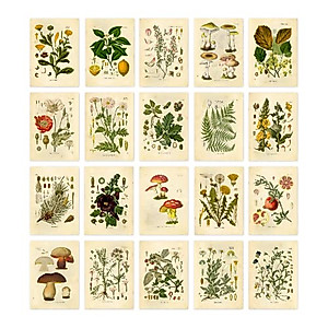 Ink Inc. Vintage Botanical Prints | Woodland Plants Collage Kit Forest Wildflower Mushrooms Wall Art | Boho Farmhouse Decor | Set of 20 5x7 Unframed