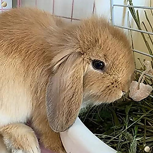 Himalayan Small Pets Lick Salt Block on Rope Natural Small Animal Mineral Salt Block Chew Toys with Hanging Rope Rabbit Mineral Salt Chew Treat Supplies for Bunny Chinchilla Hamster Ferret (8PCS)