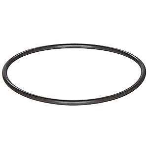 Beaver Island Parts Co. fits Jandy R0792000 Filter Outlet Tube O-Ring