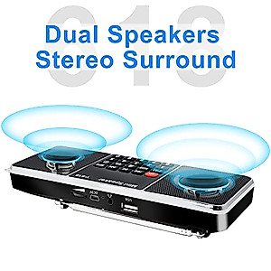 LEFON Multifunction Digital FM Radio Media Speaker MP3 Music Player Support TF Card USB Drive with LED Screen Display and Setting Timing Shutdown Function (Black)