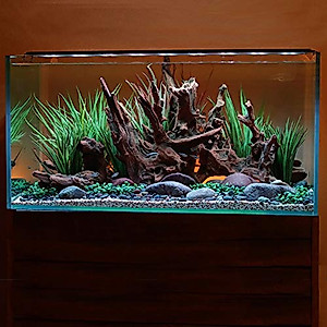CURRENT USA Satellite Freshwater LED Plus Full Spectrum RGB+W Light for Aquariums 72'' with Wireless 24 Hour Remote Control