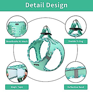 AMTOR Dog Harness with Leash Set,No Pull Adjustable Reflective Step-in Puppy Harness with Padded Vest for Extra-Small/Small Medium Large Dogs and Cats(Green,S)