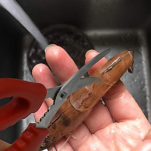 2 Pack Seafood Scissors,Seafood Fish Crab Shrimp Lobster Scissors Stainless Steel Shears for Kitchen Tools