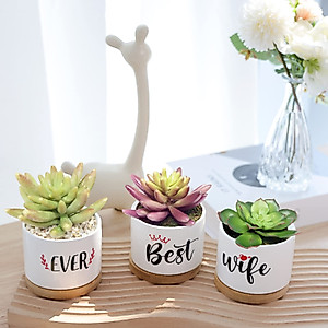 Whonline Birthday Gifts for Wife from Husband Unique, Succulent Pots Planter Gifts for Women Mothers Day Anniversary, Romantic Best Wife Ever Gifts for Any Occasion, Arrive Beautifully Gift Boxed