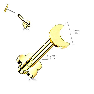 Pierced Owl 16GA G23 Implant Grade Titanium Crescent Moon Threadless Push in Flower Base Stud (Silver Tone)