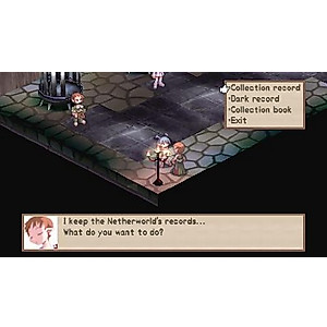 Disgaea: Afternoon of Darkness - Sony PSP