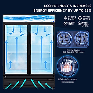 JAE Double Doors Merchandiser Refrigerator, Low-E Tempered Glass Display Refrigerator, Auto-defrost Upright Beverage Cooler w/Digital Temp. Control, R290 Eco-friendly Compressor, ETL, 31.1 Cu. Ft