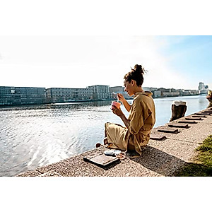 MEPAL, Lunchpot with 2 Lids, a Detachable Small Storage Container for Nuts or Fruit, Portable, BPA Free, Nordic Pink, 500ml+200ml|17oz + 6.7oz, 1 Count