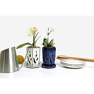 rePotme) 4 x 6 inch Hexagon Ceramic Orchid Pot with Matching Saucer (Teal Jade)