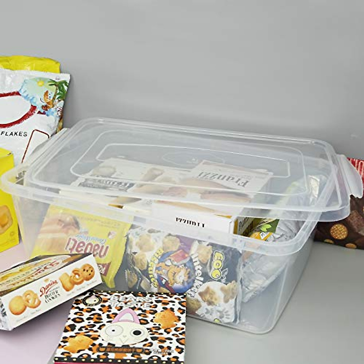 Gloreen Clear Storage Bin, 16 Quart Latch Bins/Containers/Boxes with Lid, Pack of 2