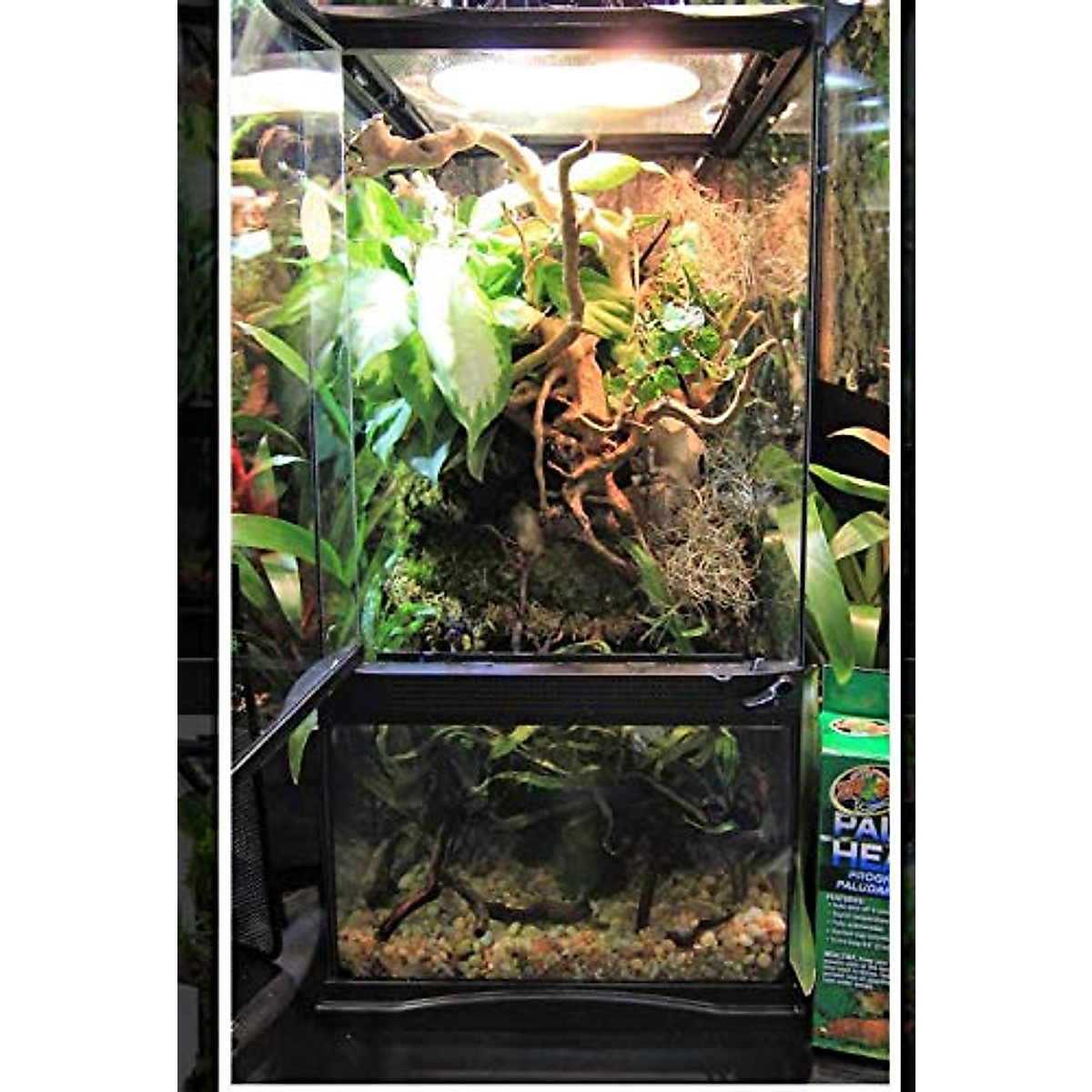 Zoo Med Paludarium Habitat Kit - 12" x 12" x 24"