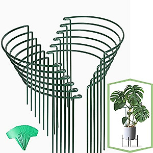Joyhalo 12 Pack Plant Stakes for Outdoor Plants, 16 Inch Plant Support Stakes, Peony Supports for Outdoor Plants, Peony Cage with 15 Pcs Plant Labels, Flower Stakes Peonies Support Cages for Plants