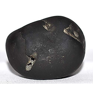Rudrakshguru Janardhana Shaligram - Gandaki River Nepal