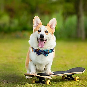 Personalized Dog Collars with Bowtie for Female Dogs,Cute Custom Dog Collar for Girl Dog Engraved with Name and Phone Number for Puppy Small Medium Large Dogs