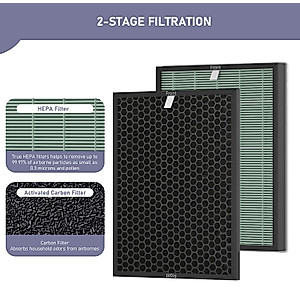 Ontheone Air BioGS 2.0 Filter Replacement Kit Compatible with Rabbit Air BioGS 2.0 Ultra Quiet Air Cleaner Purifier Model SPA-550A and SPA-625A, includes Carbon and HEPA Filter, 2 Set