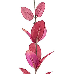 Ashland Michaels Bulk 12 Pack: Burgundy Honeysuckle Leaf Spray