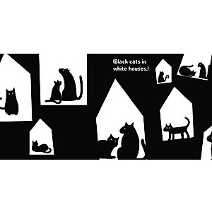Black Cat & White Cat: A High Contrast Sensory Board Book About Opposites For Newborns and Babies