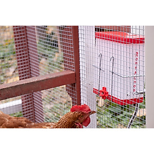 RentACoop 2-Liter(67oz) Heated Poultry Waterer for Chickens/Pigeon/Quail/etc