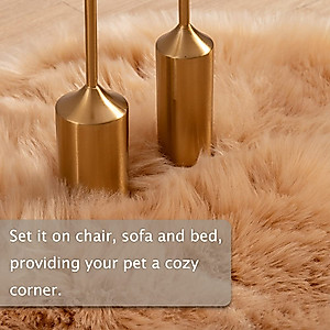 Asrug Faux Fur Pet Mat Ultra Cozy Throw Rug, Luxury Soft Faux Sheepskin Chair Cover Seat Pad Shag Fur Area Rugs, 24 by 36 inches (Khaki)
