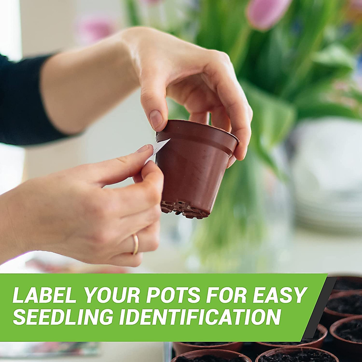 Royal Green Rectangular Colored Sticker 1x3 inch (7.5cm x 2.5cm) Neon Green Labels on a Roll 250 Pack