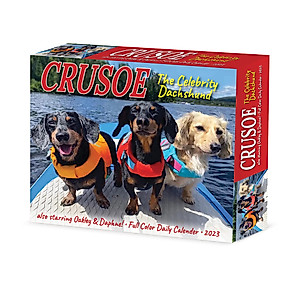 Crusoe the Celebrity Dachshund 2023 Box Calendar