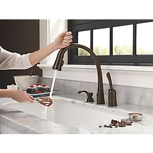 Delta Faucet Pilar Kitchen Soap Dispenser for Kitchen Sinks, Venetian Bronze RP50781RB