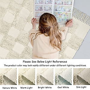 Lahome Checkered Boho Bathroom Rugs, Small 2x3 Rug Checkered Bath Mat Farmhouse Kitchen Rug Washable Tufted Rug with Tassels, Non-Shedding Neutral Woven Beige Rug Indoor Carpet for Bedroom Table