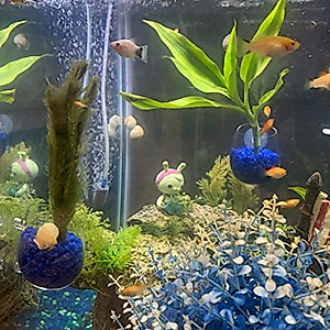 Crystal Glass Aquatic Plant Cup Pot Holder,Fashionclubs Aquarium Tank Live Plant Glass Pot Red Shrimp Holder with 2 Suckers,Fish Tank Aquascape Decor,2-Pack