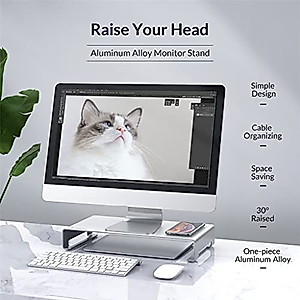 ASDAJK Aluminum Monitor Stand Riser Computer Universal Laptop Stand Metal Desktop Stand Organizer for PC Home Office (Color : White-Fruit peach5)