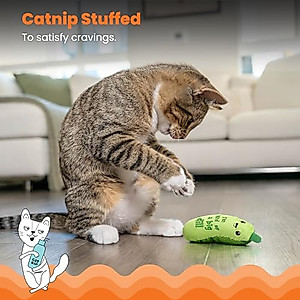 Catstages Crunchy Pickle Kicker Dental Catnip Cat Toy