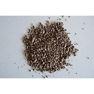 Earth Science Zinnia Mix from Earth Science (6 lb), 3-in-1 Mix with Premium Wildflower Seed, Plant Food and Soil Conditioners, Non-GMO