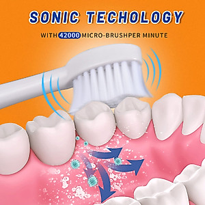 Electric Sonic Toothbrush with 6 Brush Heads, Rechargeable Power Toothbrush for Adults 2 Minute Built in Smart Timer, 6 Modes, One Charge for 60 Days