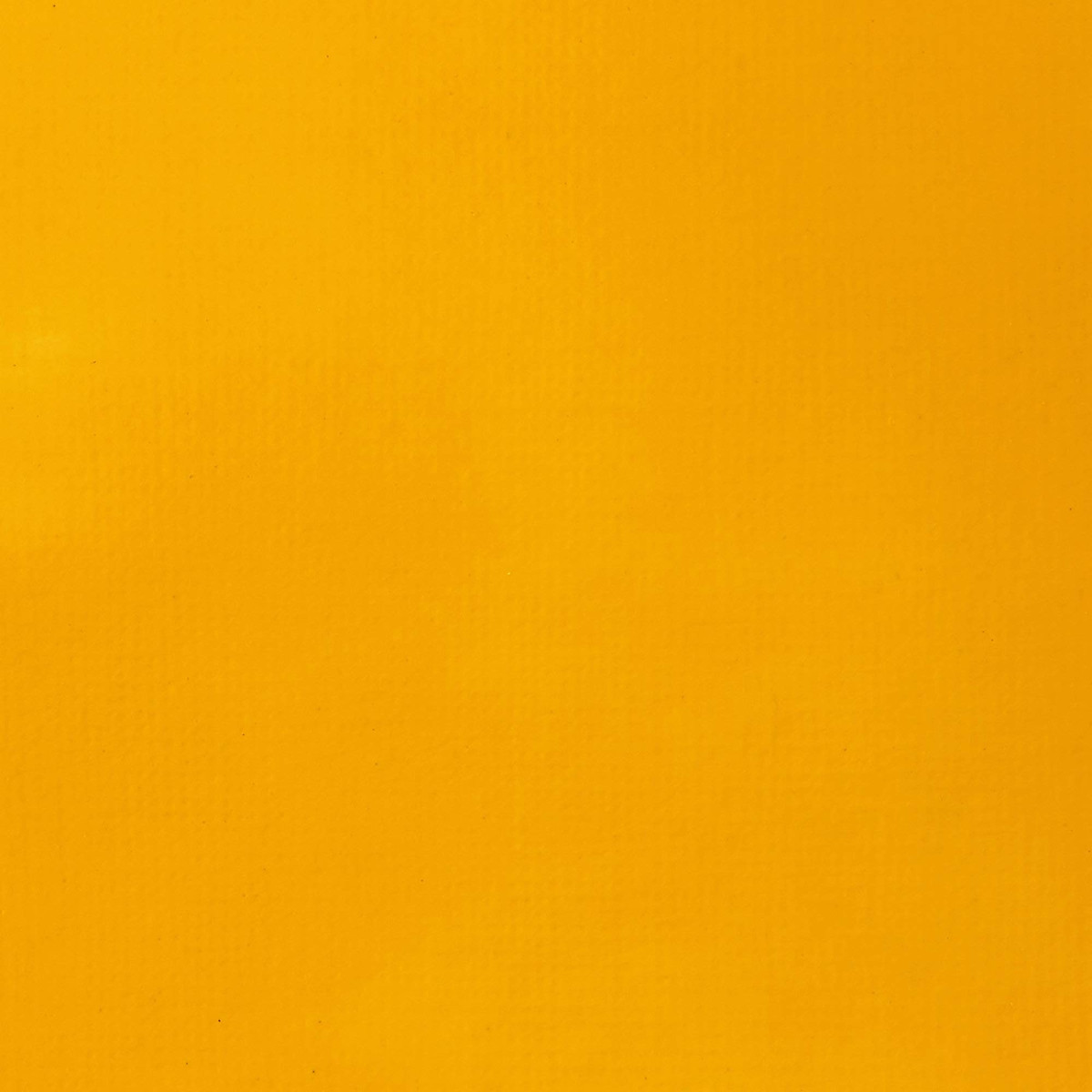 Liquitex BASICS Acrylic Paint, 250ml (8.5-oz) Tube, Cadmium Yellow Medium Hue