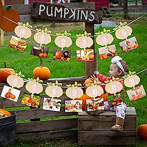 Pumpkin 1st Birthday Photo Banner Pink Gold Pumpkin First Birthday Photo Banner Pumpkin 12 Month Photo Banner for Fall Pumpkin Themed 1st Birthday Party Supplies