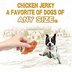 PAWUP Chicken Jerky Dog Treats, Human Grade Chicken Tender, All Natural High Protein Jerky for Dog, Rawhide-Free, No Artificial Flavors, 12.5 oz