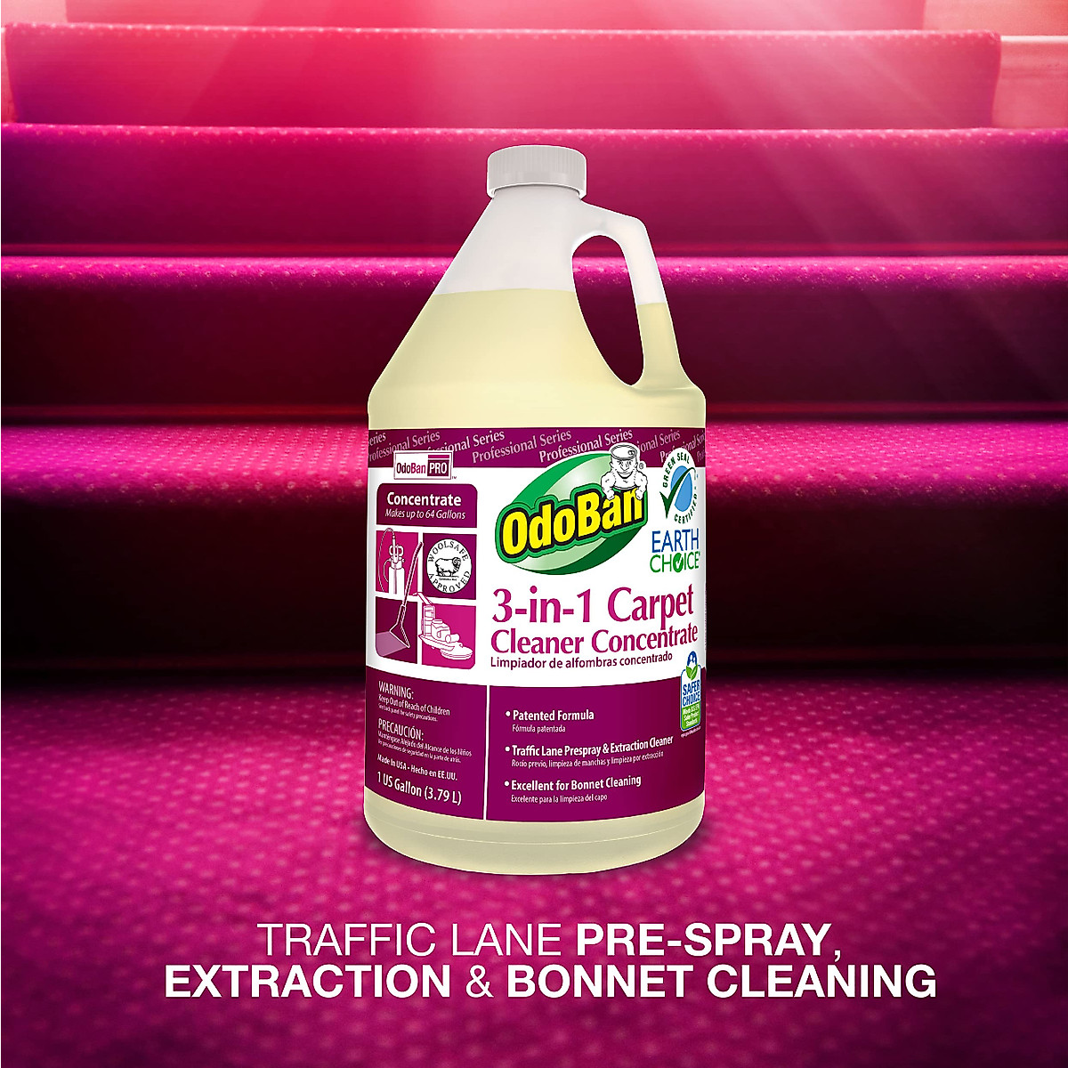 OdoBan Professional Series Cleaning 3-in-1 Carpet Cleaner Concentrate, Set of 2, 1 Gallon Each