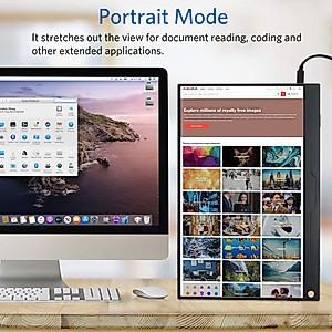 Portable Monitor - 17.3 Inch 1080P FHD IPS HDR Type C FreeSync Gaming Monitor with Type-C HDMI mini DP Speaker for Xbox PS4 Switch Laptop PC Phone Mac Surface, with Smart Case VESA mount (Renewed)