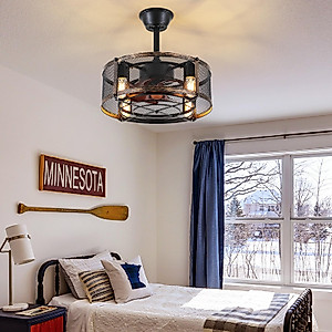 Dannilong Caged Ceiling Fans with Lights and Remote, Farmhouse Ceiling Fan with Light Bladeless, Small Ceiling Fan for Kitchen Bedroom Outdoor, 18 Inch Black Fandelier, Reversible Quiet Motor