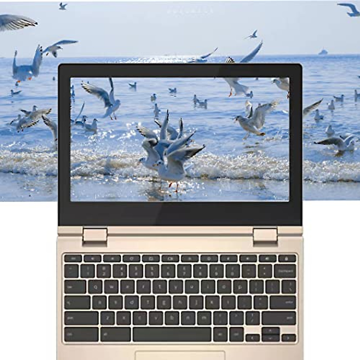 Lenovo Chromebook Flex 3 11.6" HD (1366 x 768) TouchScreen 2-in-1 Laptop, Intel Celeron N4020, 4GB DDR4, 64GB eMMC, Webcam, WiFi, Bluetooth, MicroSD Card Reader, Chrome Os, GCube 64GB Micro SD Card