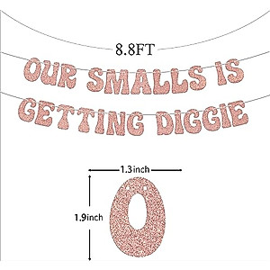 Our smalls is getting biggie banner, 1st Birthday Decorations，Notorious The Big One Biggie 1st Birthday Decor For Kids, Hip Hop Theme First Birthday Baby Shower Party Supplies Rose Gold Glitte.