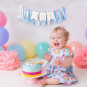 Blue and Green 1st Birthday Banner - Highchair Banner 1st Birthday Boy , Greenery Party Decorations , First Birthday Decorations for Kids , Baby Birthday Party Photo Props(Blue and Green Banner)