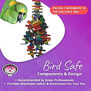 Super Bird Creations SB670 Stir It Up! Bird Toy, Medium/Large Bird Size, 17" x 8"