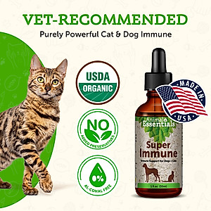 Animal Essentials Super Immune for Dogs & Cats - Immune System Support Supplement, Echinacea, Eleuthero, Olive Leaf Extract, Liquid Drops - 1 Fl Oz