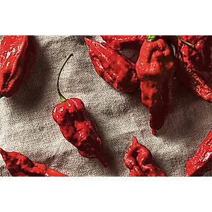 Unpretentious Dried Ghost Peppers, 3 oz, Extremely Hot Bhut Jolokia Chile Peppers