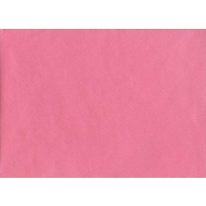 Pictura Camper with Pink Door Sienna Garden Die Cut Feminine Birthday Card for Her/Woman