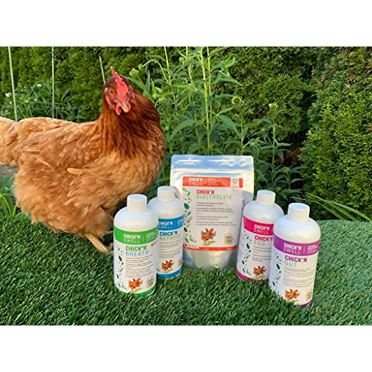 Chick'N Electrolyte for poultry