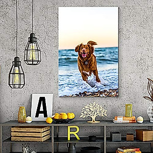 NWT Personalized Pictures to Canvas for Wall, Custom Canvas Prints with Your Photos for Pet/Animal, Framed 10x8 inches